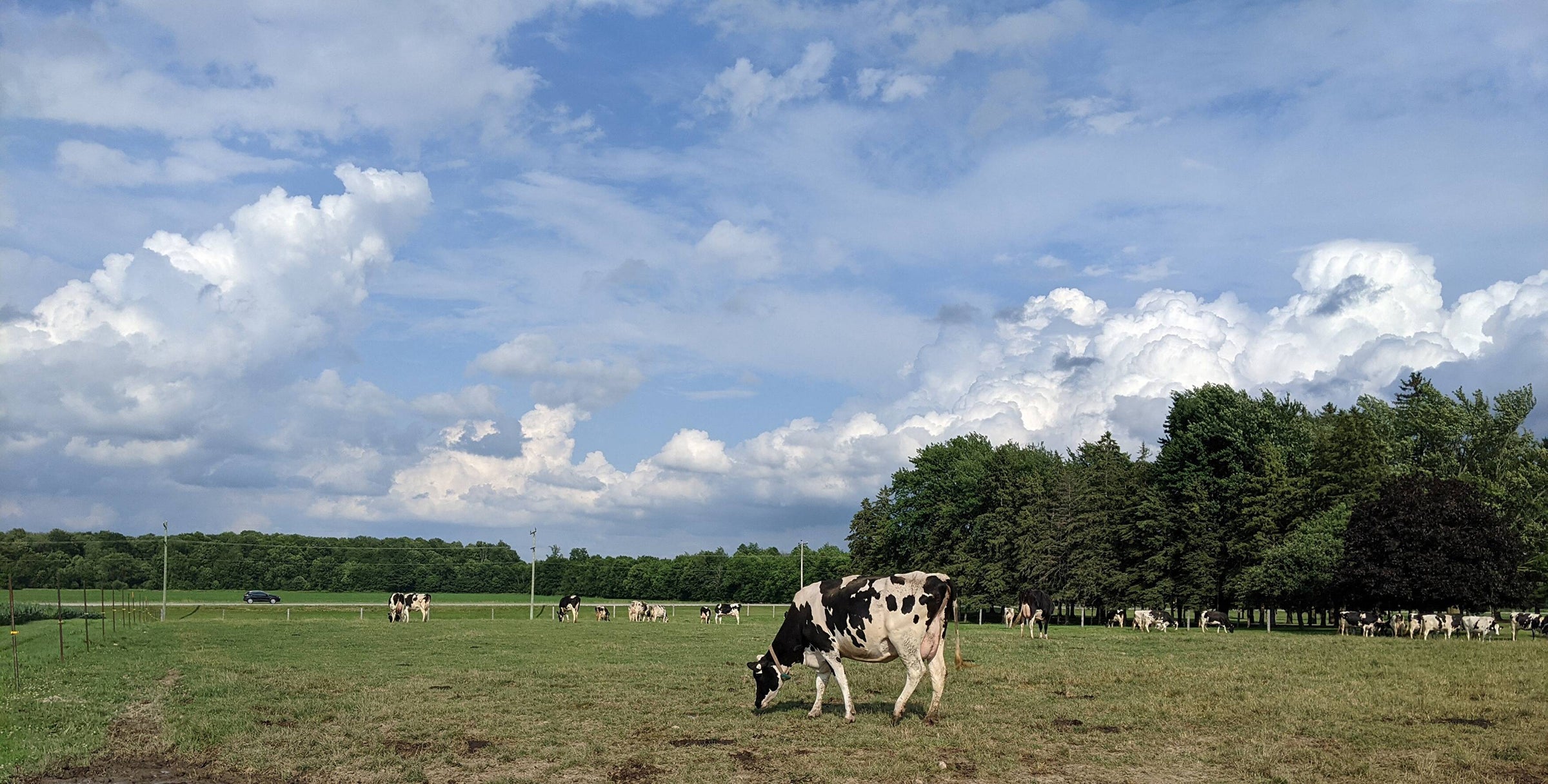 Proof Line Farm | Creamery & Espresso Bar | Proof Line Farm | Creamery ...